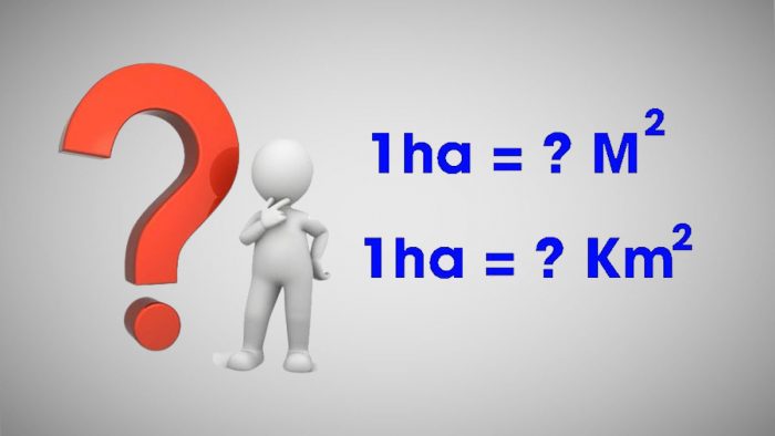 1ha bằng bao nhiêu m2? Quy đổi chính xác và dễ nhớ nhất
