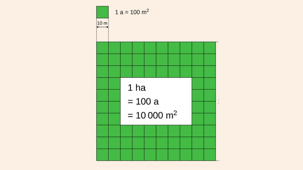 Khái niệm về ha, m2. 1ha bằng bao nhiêu m2