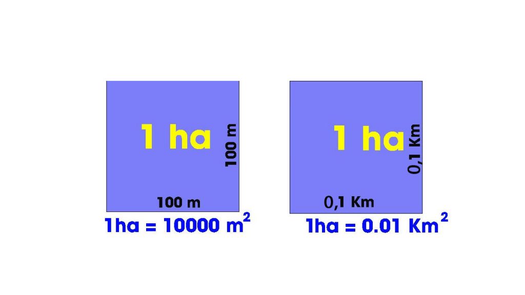 Khái niệm về ha, m2. 1ha bằng bao nhiêu m2