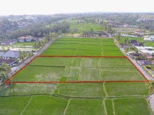 1ha bằng bao nhiêu m2? Cách quy đổi chuẩn xác nhất